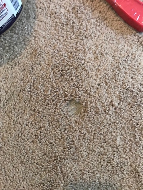 How to Repair Carpet - Cribbs Style