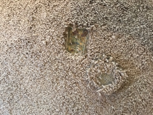 How to Repair Carpet - Cribbs Style