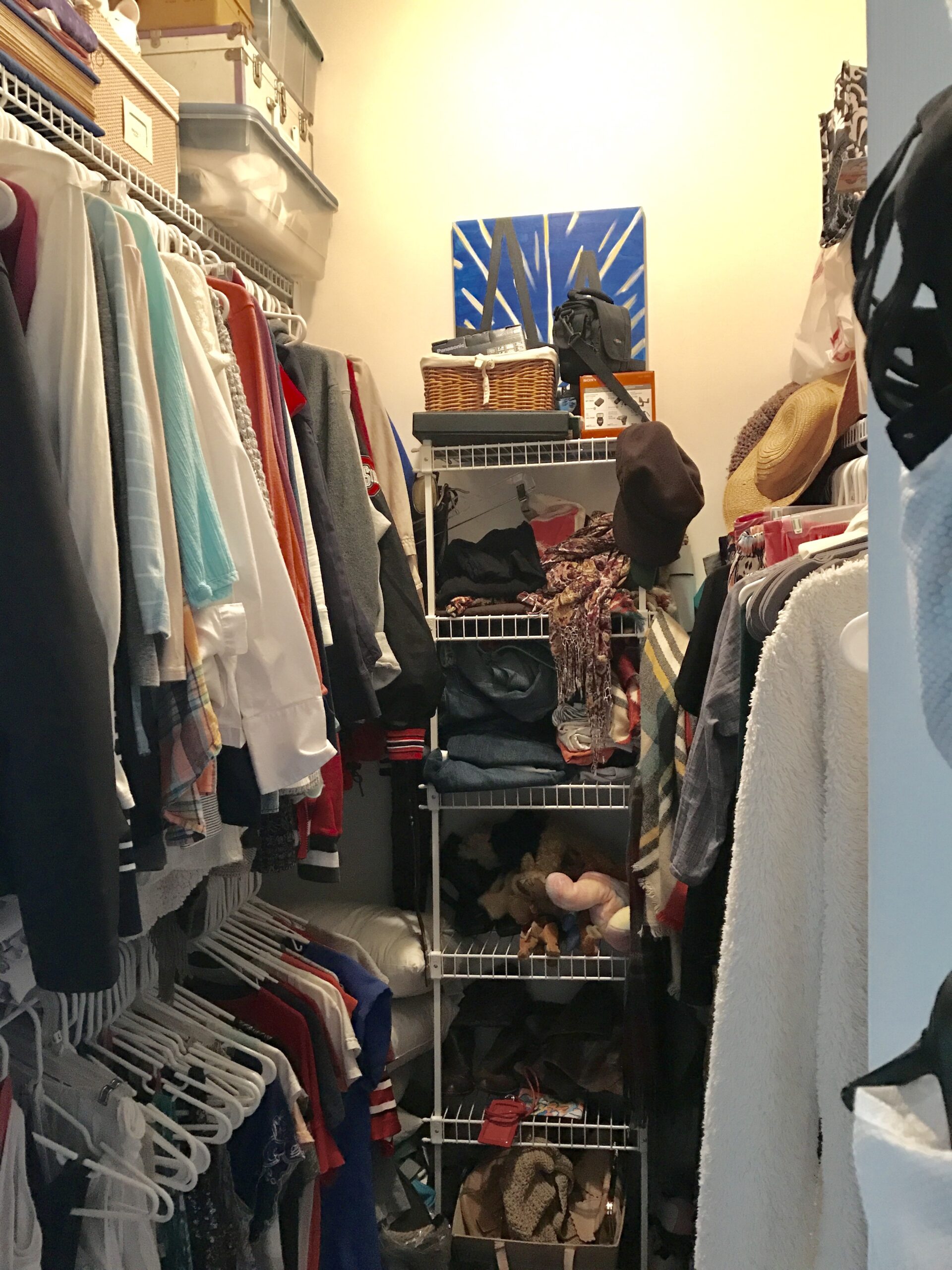 One Room Challenge- Master Closet Makeover Recap - Cribbs Style